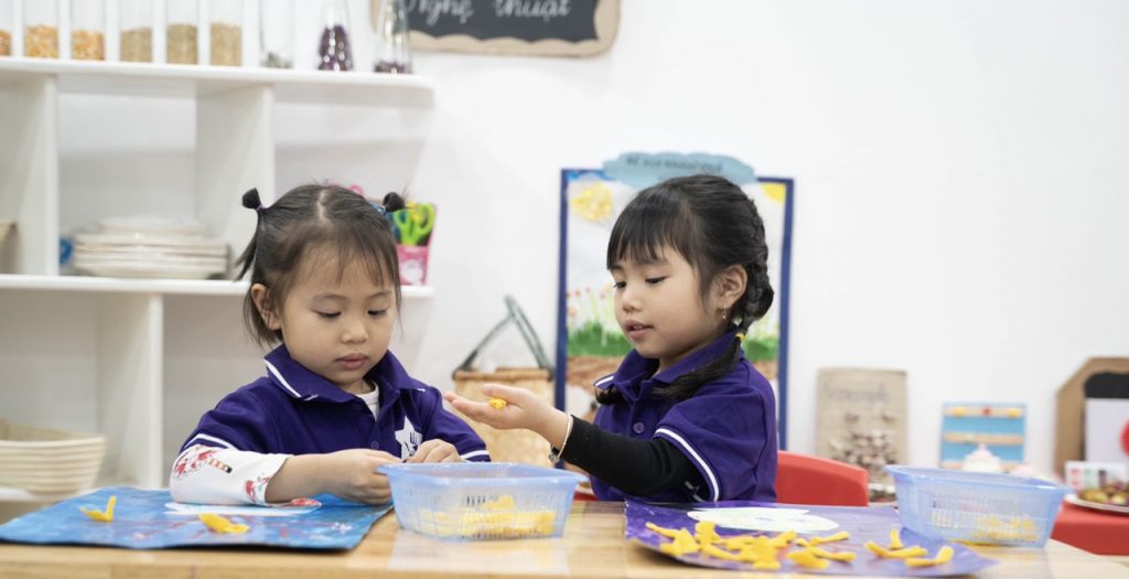 sasukeacademy.edu.vn – Đánh thức tiềm năng của trẻ